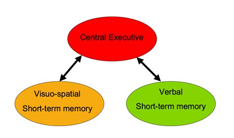 Reading Comprehension Working Memory Part 2 How Does Chunking Help