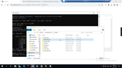 Najeeb Khan On Linkedin Oracle Apex Upgrading 222 To 232 Part 1