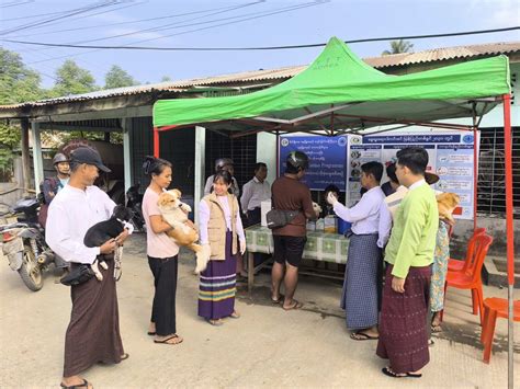 ပန်းတနော်မြို့၌ ခွေးရူးရောဂါကြိုတင်ကာကွယ်ဆေး အခမဲ့ထိုးနှံပေး Information And Public Relations