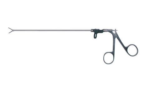 Nephroscopy Percutaneous Instruments Endomed Systems