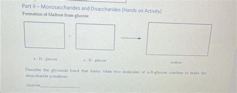 Solved Part Iv Hydrolysis Of A Polysaccharide Video
