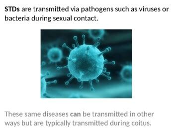 Biology Sex Education By The BioHub Teachers Pay Teachers