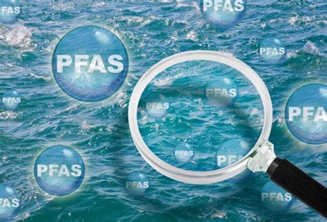 Pfas Un Espoir Bactérien Ortho Rhumato