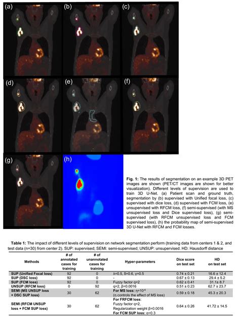 Semi Supervised And Unsupervised Convolutional Neural Networks For Automated Lesion Segmentation