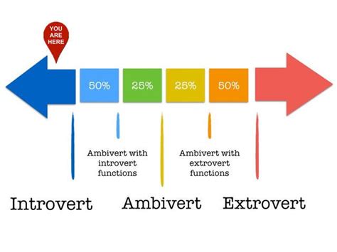 Where Do You Lie On The Introversion Scale Extroverted Introvert Introvert Extrovert