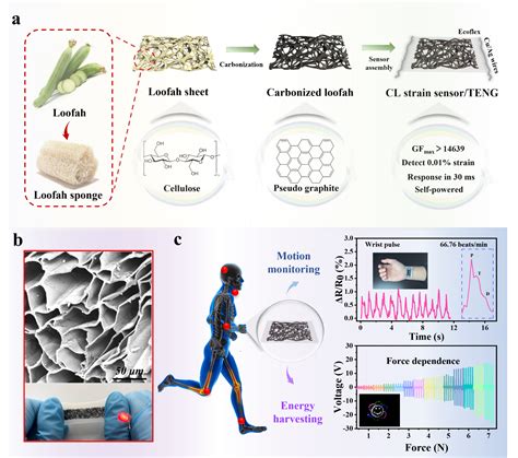 我校与迪肯大学联合培养博士生在nano Energy上发表文章 武汉纺织大学分析测试中心