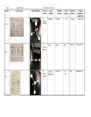 Molecular Geometry Lab Docx Name Gabriel Skariah Species Lewis Structure Image Of D Model