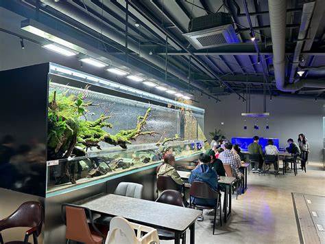 춘천 카페리움 춘천 수족관 카페 춘천 대형카페 추천 강원도 아쿠아리움 카페