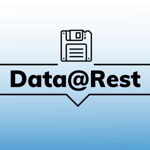 What is data at rest you ask? | NetLib Security Inc