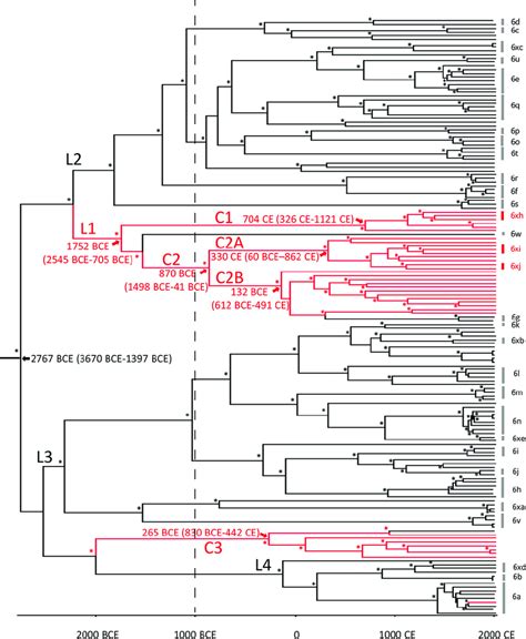 Bayesian Phylogenetic Tree Of Whole Virus Genome Hcv Gt6 Ref And Gt6 Download Scientific