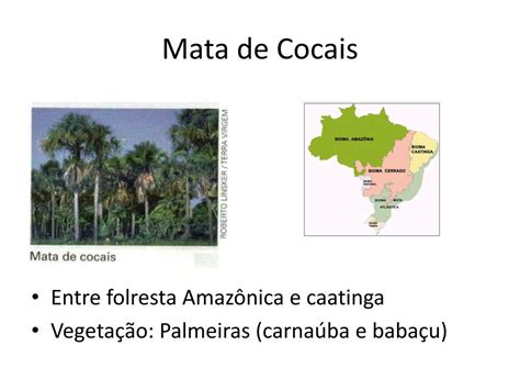 Ppt Biomas Powerpoint Presentation Free Download Id6158184