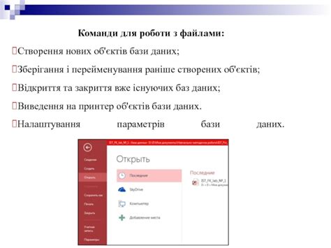 Призначення особливості та можливості СУБД Ms Access презентация доклад