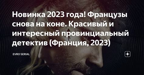 Новинка 2023 года Французы снова на коне Красивый и интересный провинциальный детектив