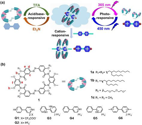 Multi Responsive Molecular Encapsulation And Release Based On Hydrogen Bonded Azo Macrocycle
