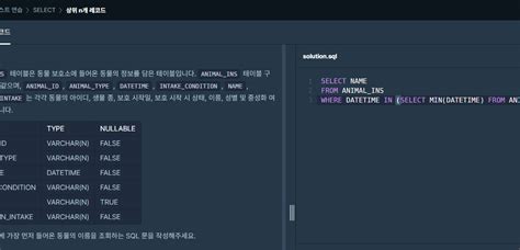 [oracle] 프로그래머스 코딩테스트 연습 select [오라클] 범상치 않은 블로그