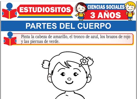 Partes Del Cuerpo Para Niños De Tres Años Fichas Gratis 📚