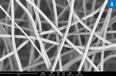 Electrospun Carbon Nanofibers For High Performance Applications