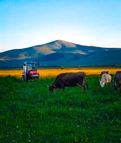 Greenway Global • Greenway Global • გრინვეი საქართველო