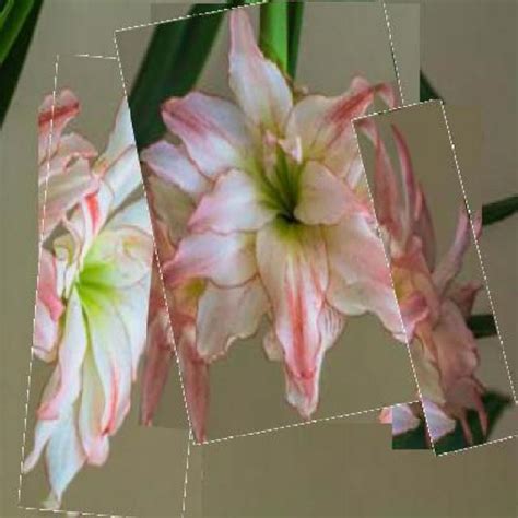 20221119 Object Detection Dataset V1 20221119v1 By Yolov5test