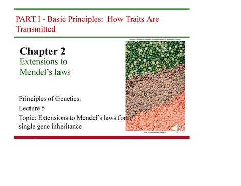 5 Extensions To Mendels Laws For One Genes Sp2021