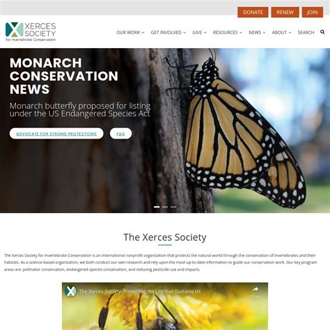 Is Legitimate Or A Scam