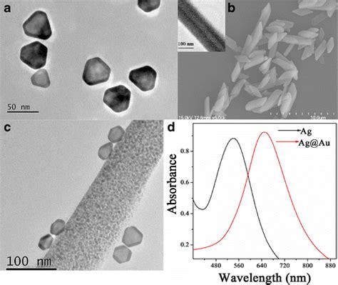 A Tem Image Of Truncated Triangular Agau Coreshell Nanoparticles B