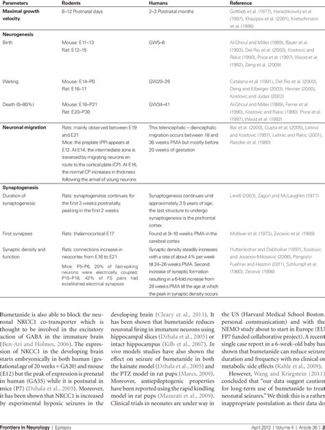 Comparative Development Of The Cortex Between Laboratory Rodents And Download Table