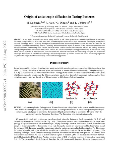 Pdf Origin Of Anisotropic Diffusion In Turing Patterns