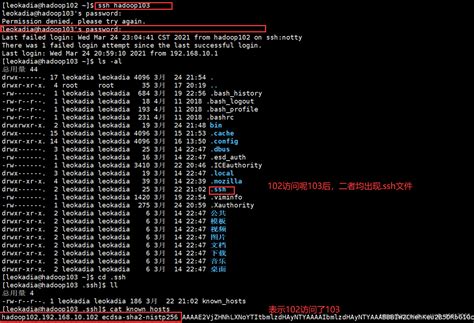 Hadoop入门九——ssh免密登录 配置（图文详解步骤2021）hadoop哨哨可不苕 华为云开发者联盟