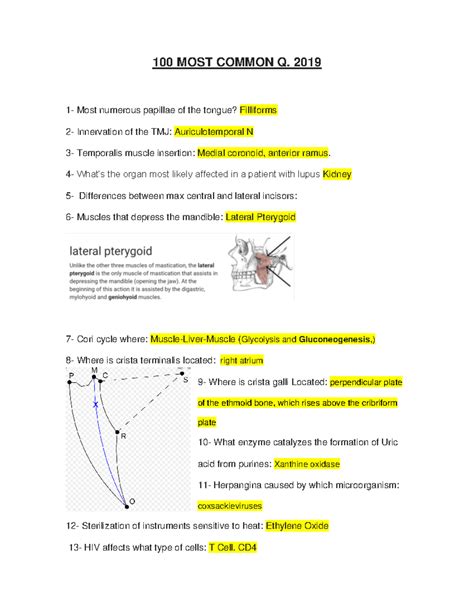 100 Most Common Q Lecture Notes 100 MOST COMMON Q 2019 1 Most Numerous Papillae Of The