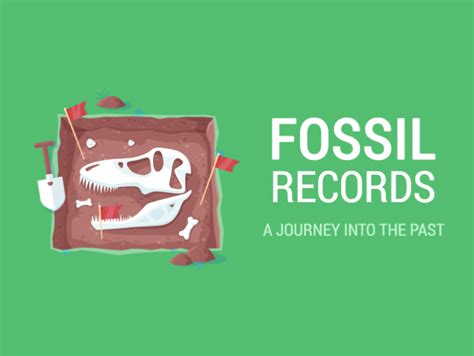 4 Types Of Fossils Earth How