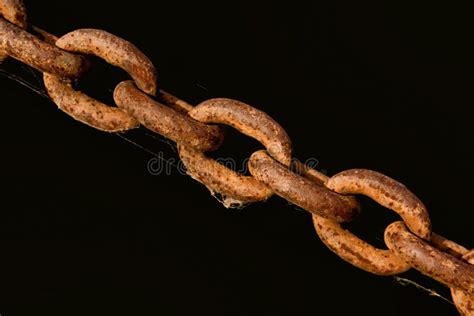 Rusty Circuit Stock Image Image Of Muddy Joint Branch 73027049