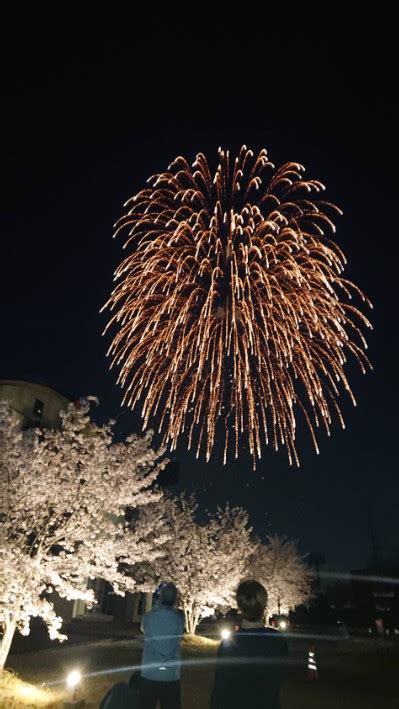 輪之内町千本桜まつり 桜と花火の競演 ワジューにイジュー