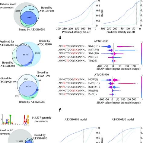 Differentiation Of Binding Specificity Of Intra Familiar Proteins With