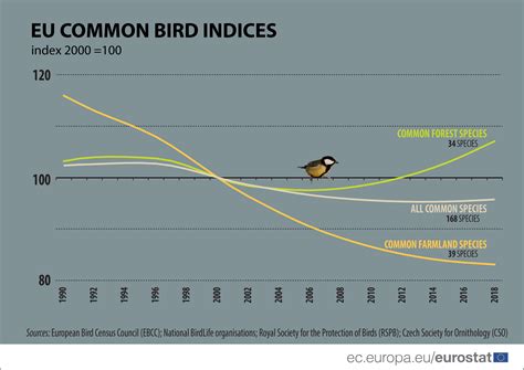 Bird Populations On The Decline Products Eurostat News Eurostat