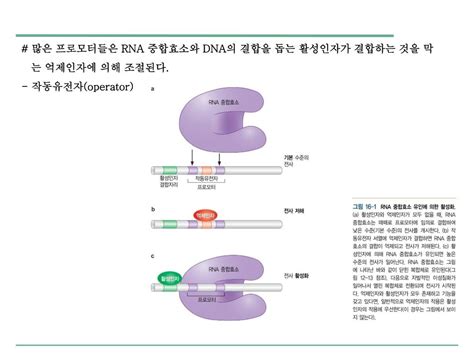 Ppt 9 장 Powerpoint Presentation Free Download Id4468778 Ppt 9 장 Powerpoint Presentation Free Download Id4468778