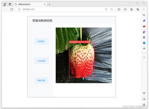 深度学习之基于yolov5草莓成熟度目标检测系统基于深度学习的草莓果成熟度识别系统 Csdn博客