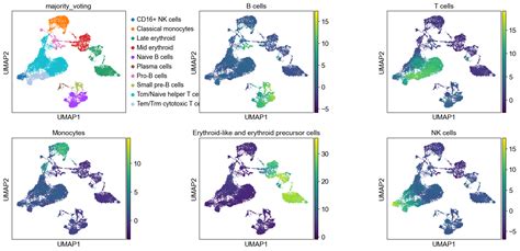 Scanpy Tutorial Qmd Gene 46100