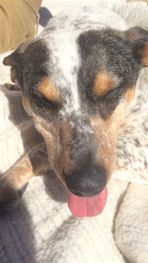 Spring Break Though Imgur Spring Break Though Imgur