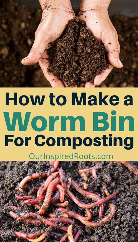 Worm Composting How To Do It And Why You D Want To Artofit