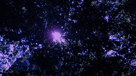 무료 이미지 마법 신비주의의 제비꽃 자연 이야기 예술적 창조적 인 자다 공상 푸른 하늘 분위기 천체 우주 공간 천계의 사건 강청색 대기권