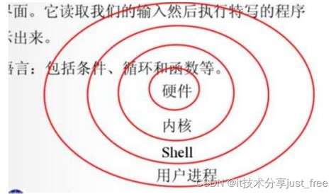 linux 常用运维命令讲解 linux运维 csdn博客