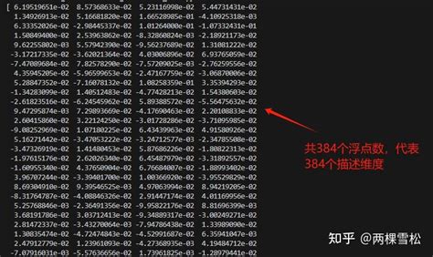 向量数据长什么样子？如何将一段文本数据转化为向量数据？ 知乎
