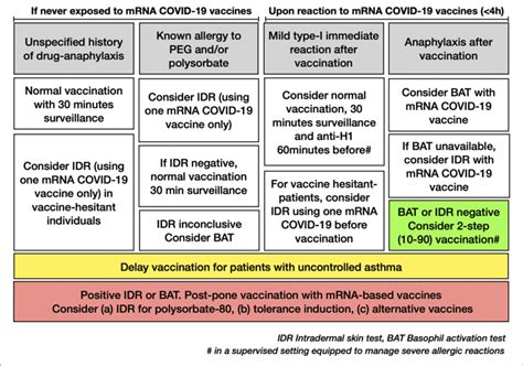 A Suggested Algorithm For The Management Of Allergic Patients With