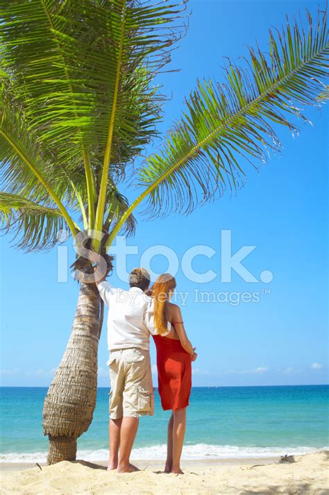 Palm Couple Stock Photo Royalty Free Images FreeImages