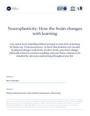 Understanding Neuroplasticity How The Brain Changes With Course Hero