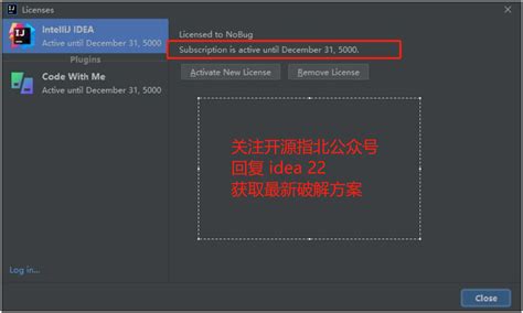 其实这个5000年是我自己配置的包括Licensed to NoBug也是我配置的