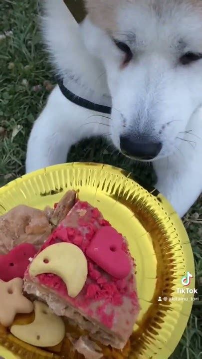 მიყვარს ჭამა Youtube