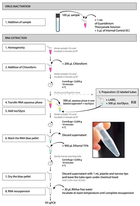 Sars Cov 2 Detection For Diagnosis Purposes In The Setting Of A Molecular Biology Research Lab