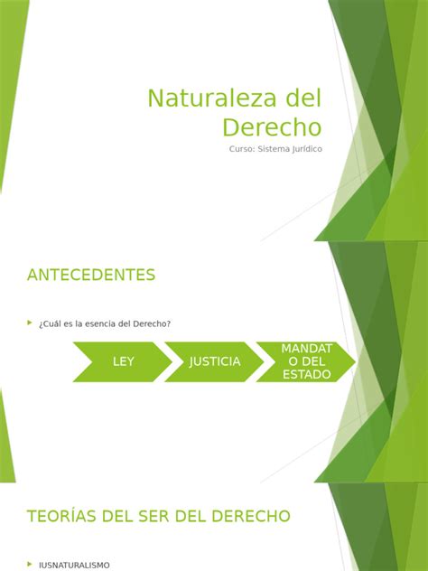 Naturaleza Del Derecho Pdf